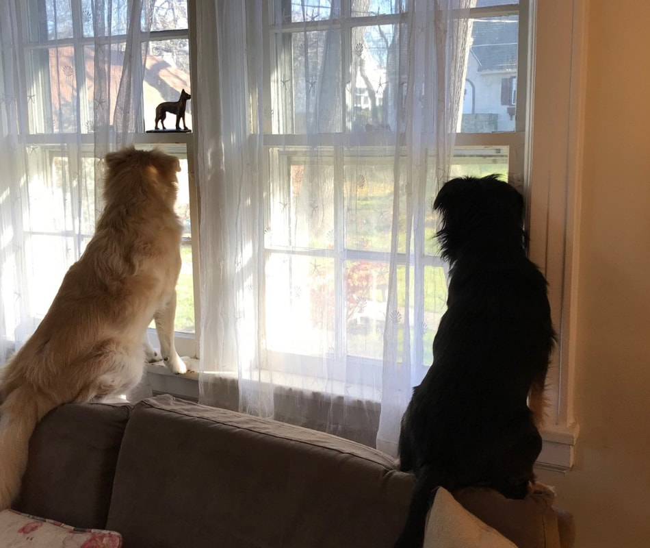 The Adventures of Jack & Gilly